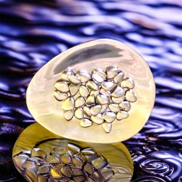 Pottery Barn | Accents | Pottery Barn Silver Clamshell Platter With ...